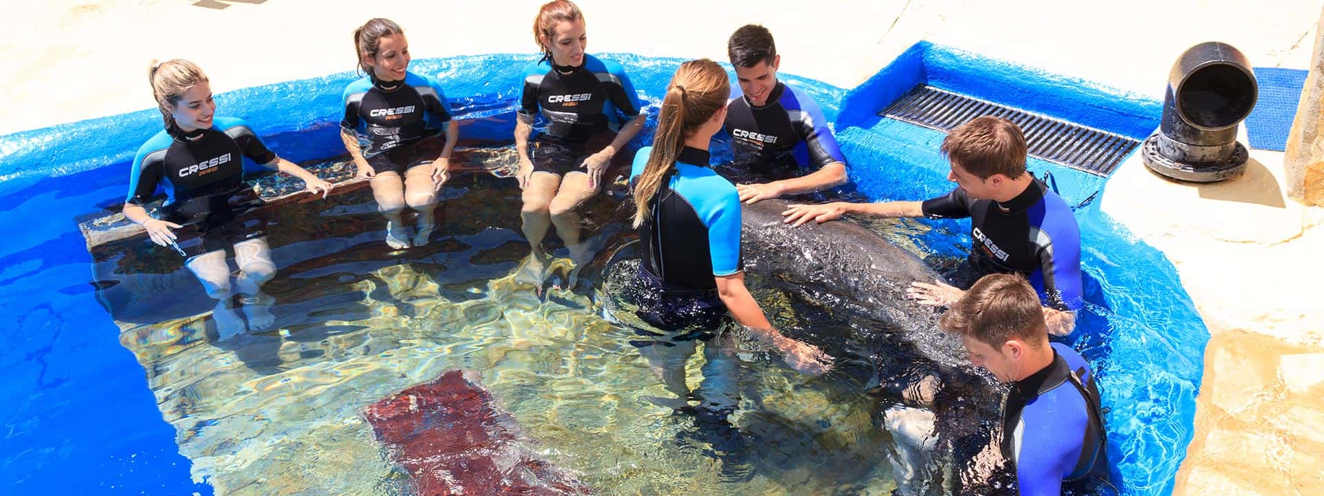 Parque de animales Mundomar en Benidorm. Experiencias únicas | Viajando ...