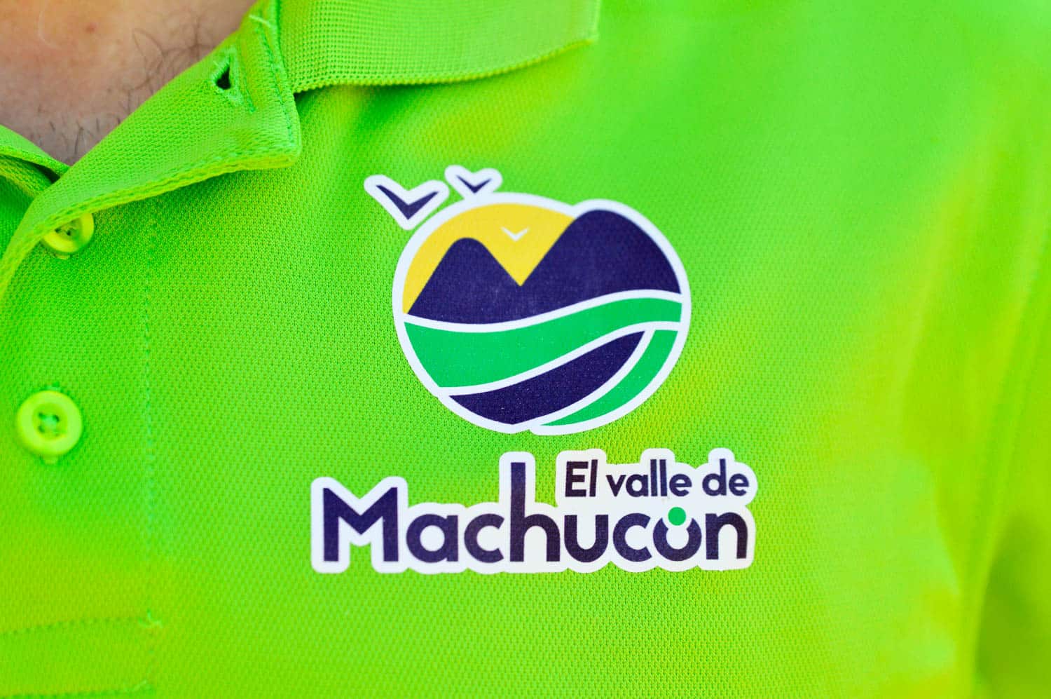 Recoger arándanos en el Valle de Machucón. Cantabria con niños ...